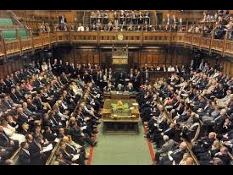 Trustee or Delegate Representation (POP ep. 29) - YouTube