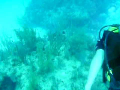 camera kick.... - YouTube