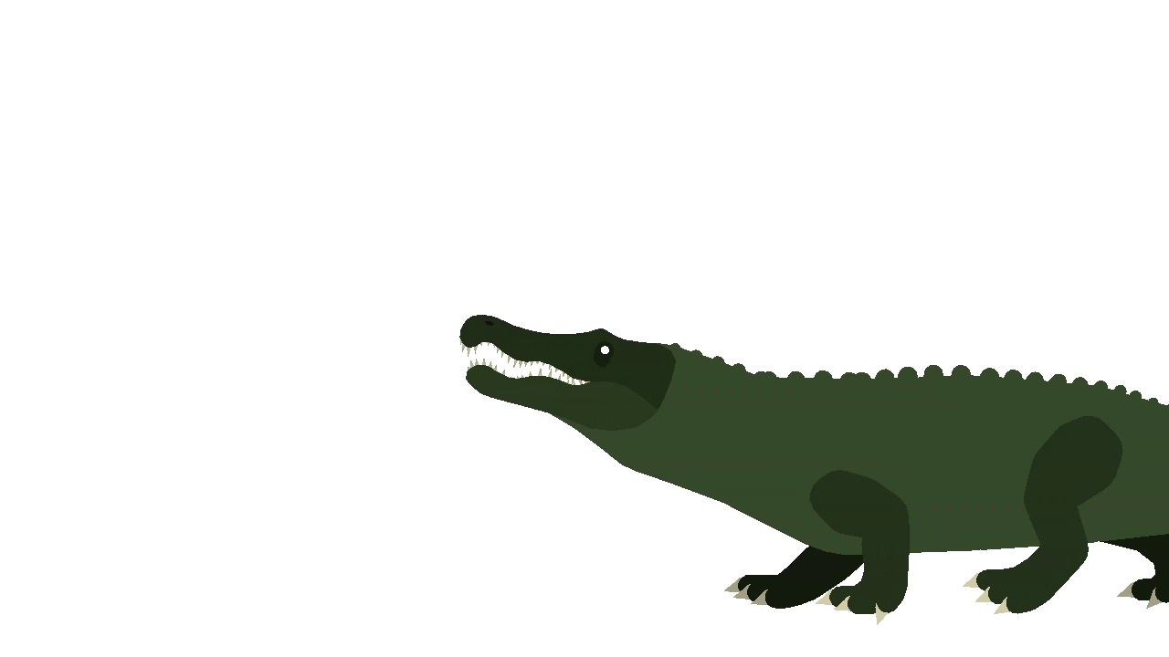 Random Croc test. - YouTube