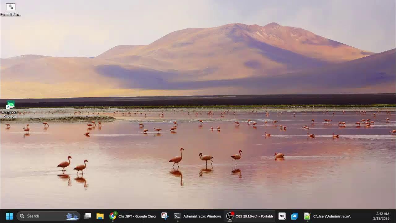 CODING A FEW PYTHON SCRIPTS ENDING AT 3AM - YouTube