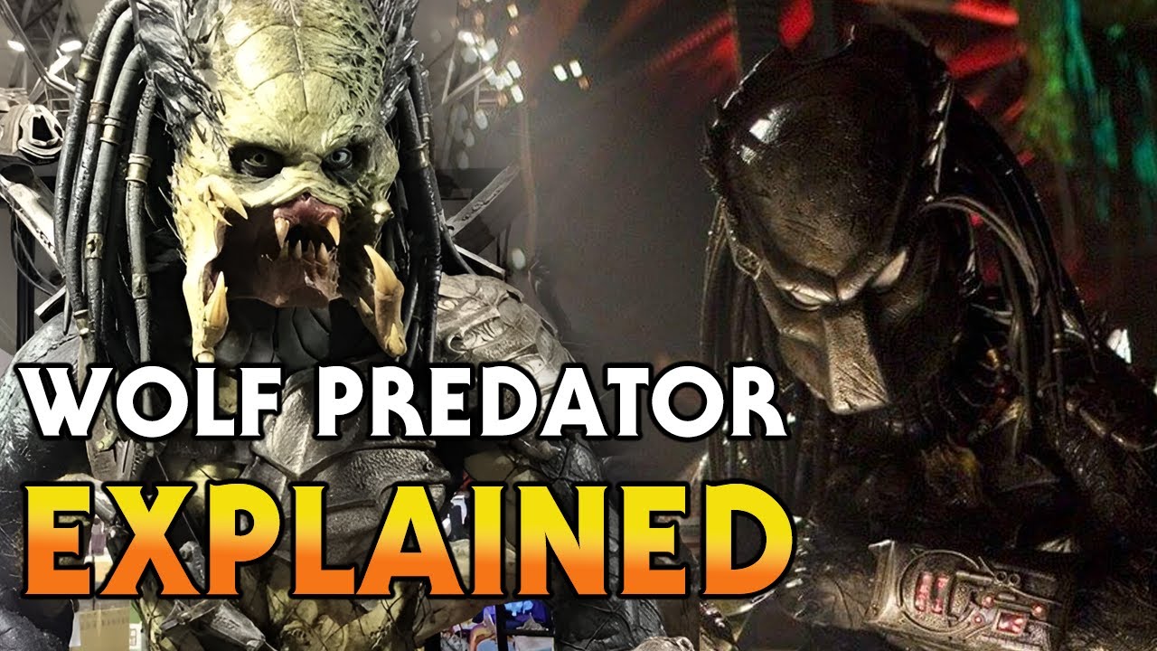 WOLF PREDATOR - Explained AVP Requiem - YouTube