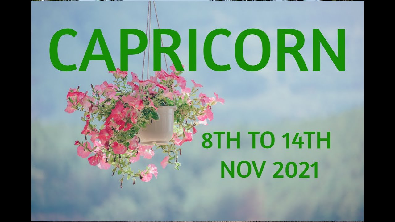 CAPRICORN FRIDAY IS YOUR LUCKY DAY | 8TH TO 14TH NOV 2021 - YouTube