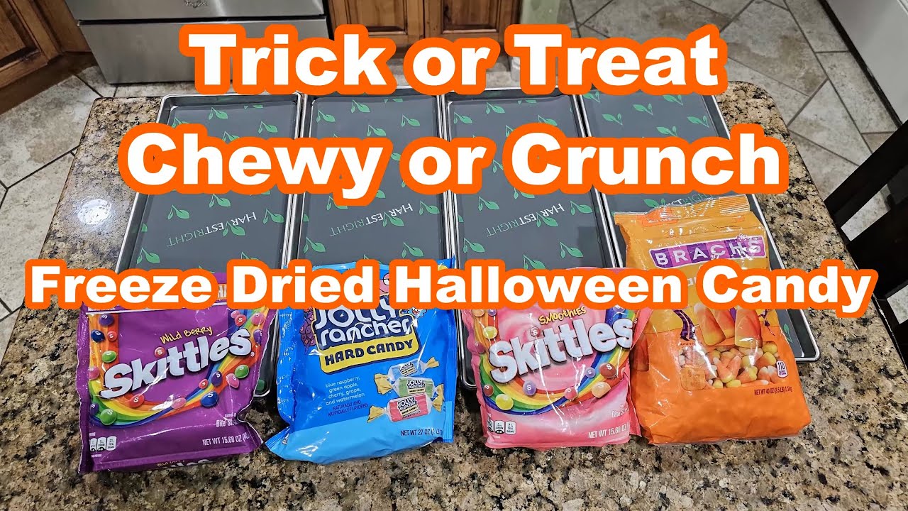 Can You Freeze Dry Halloween Candy? Trick or Treat! From Chewy to ...