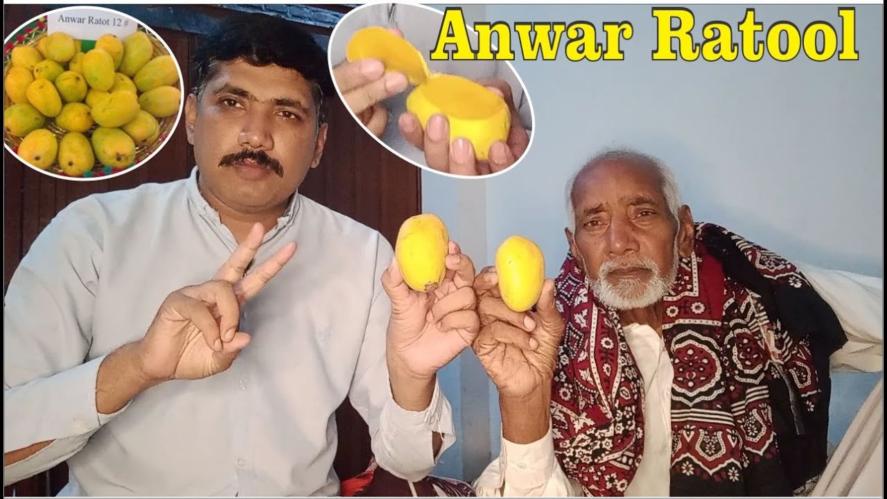 Anwar Ratol Mango Party At Home With Abu - YouTube