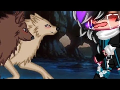 🐶Mis perritos🐶//meme de desahogo//•Gacha plus• - YouTube