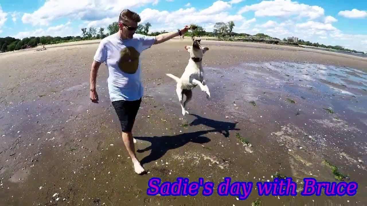 Sadie's day with Bruce - YouTube