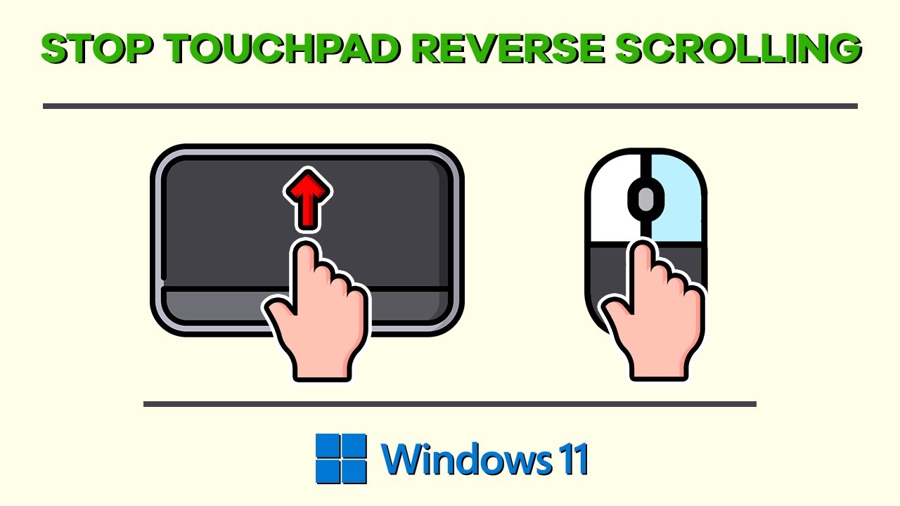 Stop TouchPad or Mouse Reverse Scrolling #windows11 #touchpad - YouTube