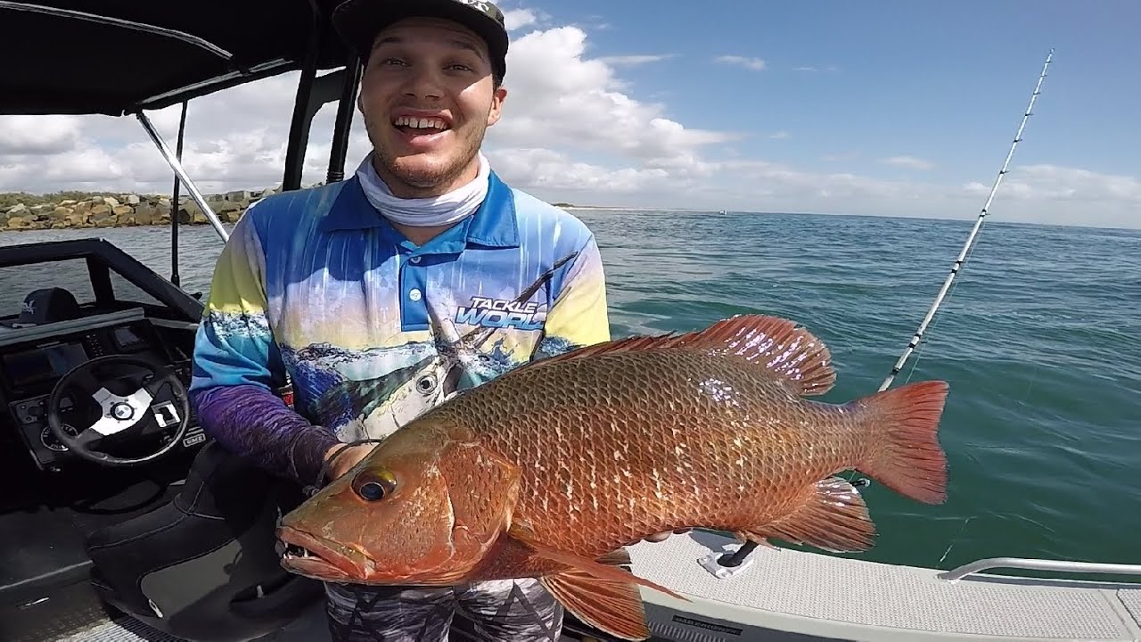 BIG MANGROVE JACK ON LIGHT GEAR! - Gold Coast Seaway - YouTube