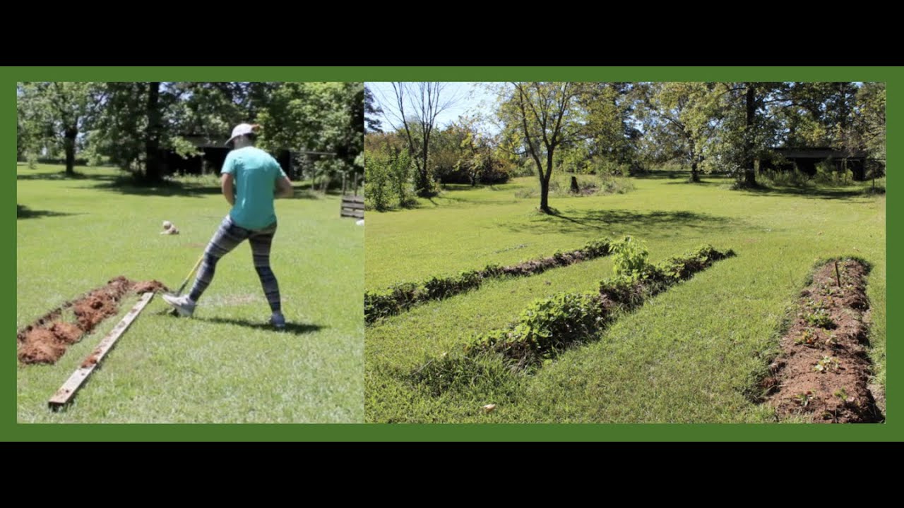 Dig and Flip Raised Beds (3 months later) - YouTube
