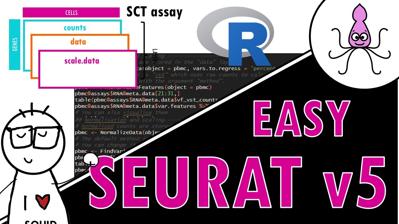 Seurat v5: structure and main workflow easily explained! - YouTube