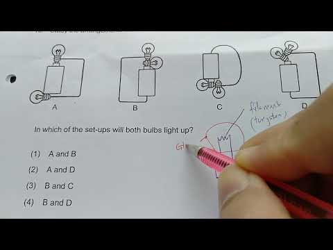 P5 Science End of Year Exam MCQ Part 2 Physical Science Questions - YouTube