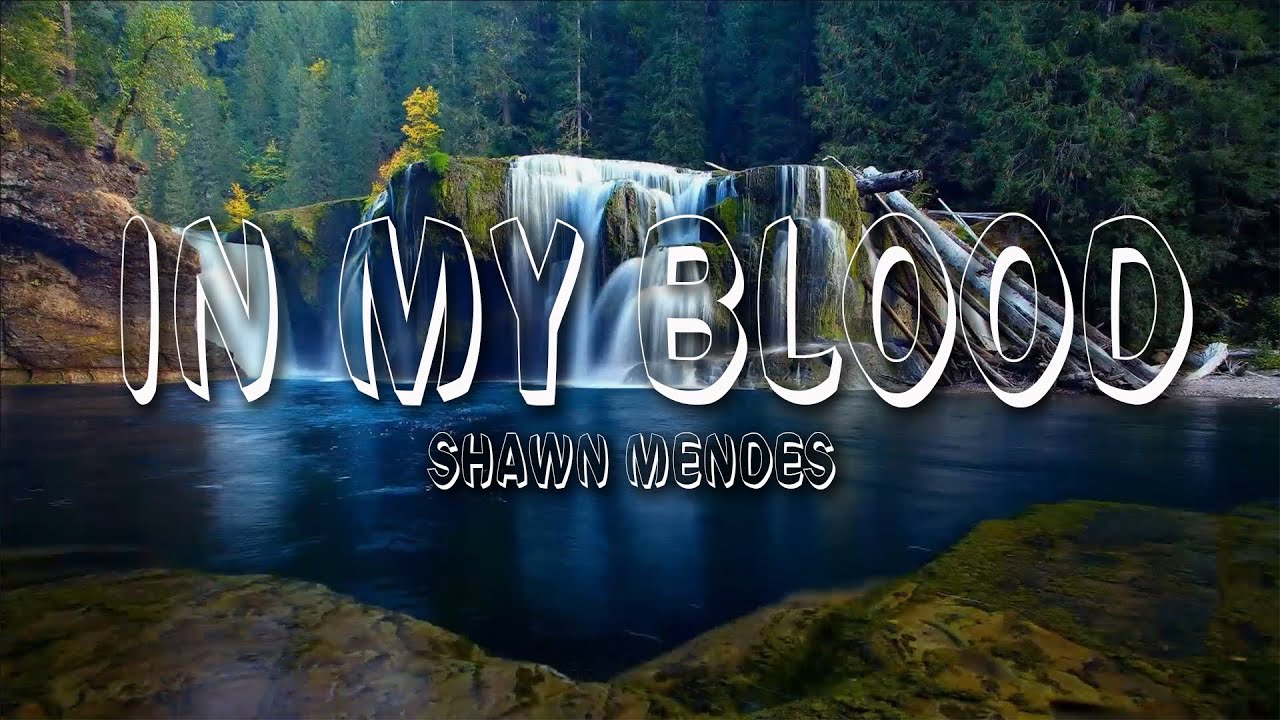 Shawn Mendes - In My Blood (Lyrics) - YouTube Music
