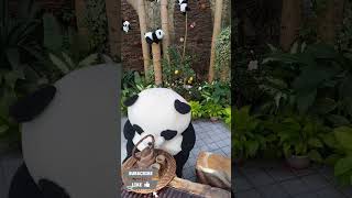 Panda😊 #satisfying #shorts #panda #garden