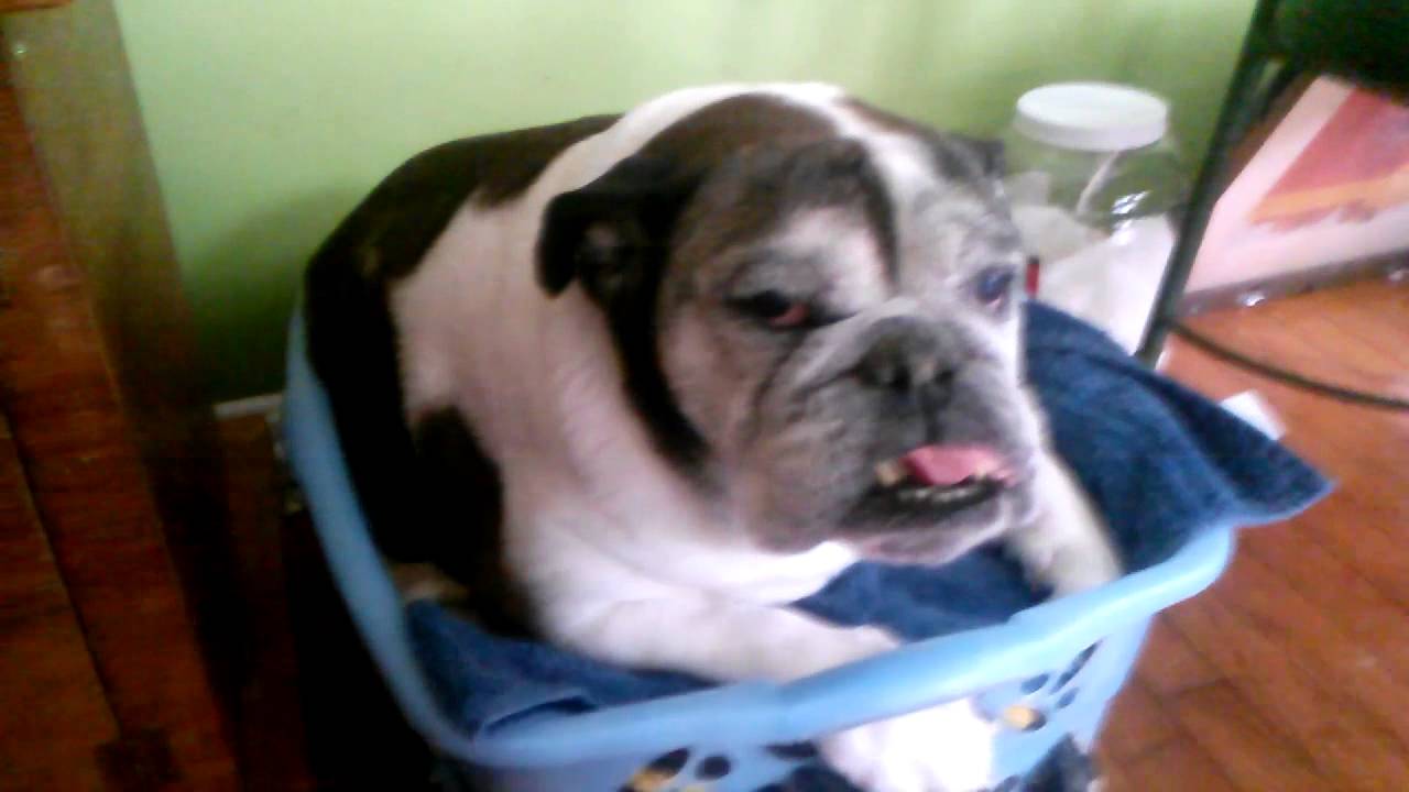 Dry Tongue YouTube dry-tongue-youtube