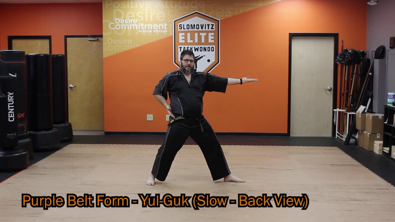 Purple Belt Form and Techniques - YouTube