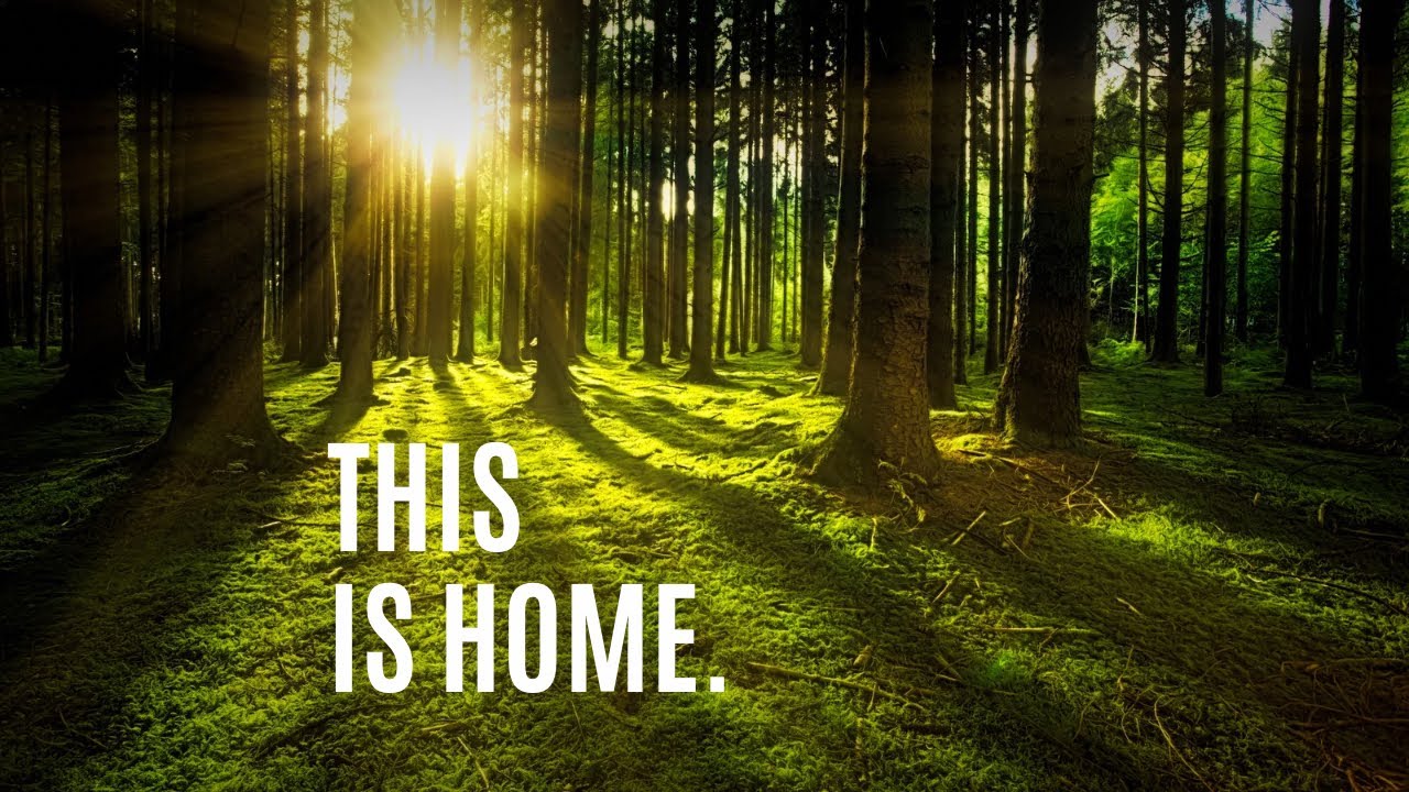 This is Home. | A Nature-Inspired Poem by Max Kristopher Komes - YouTube