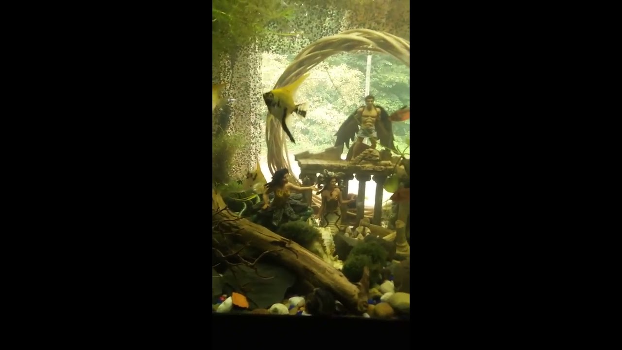Aquarium decorations ideas. Greek mythology fish tank - YouTube