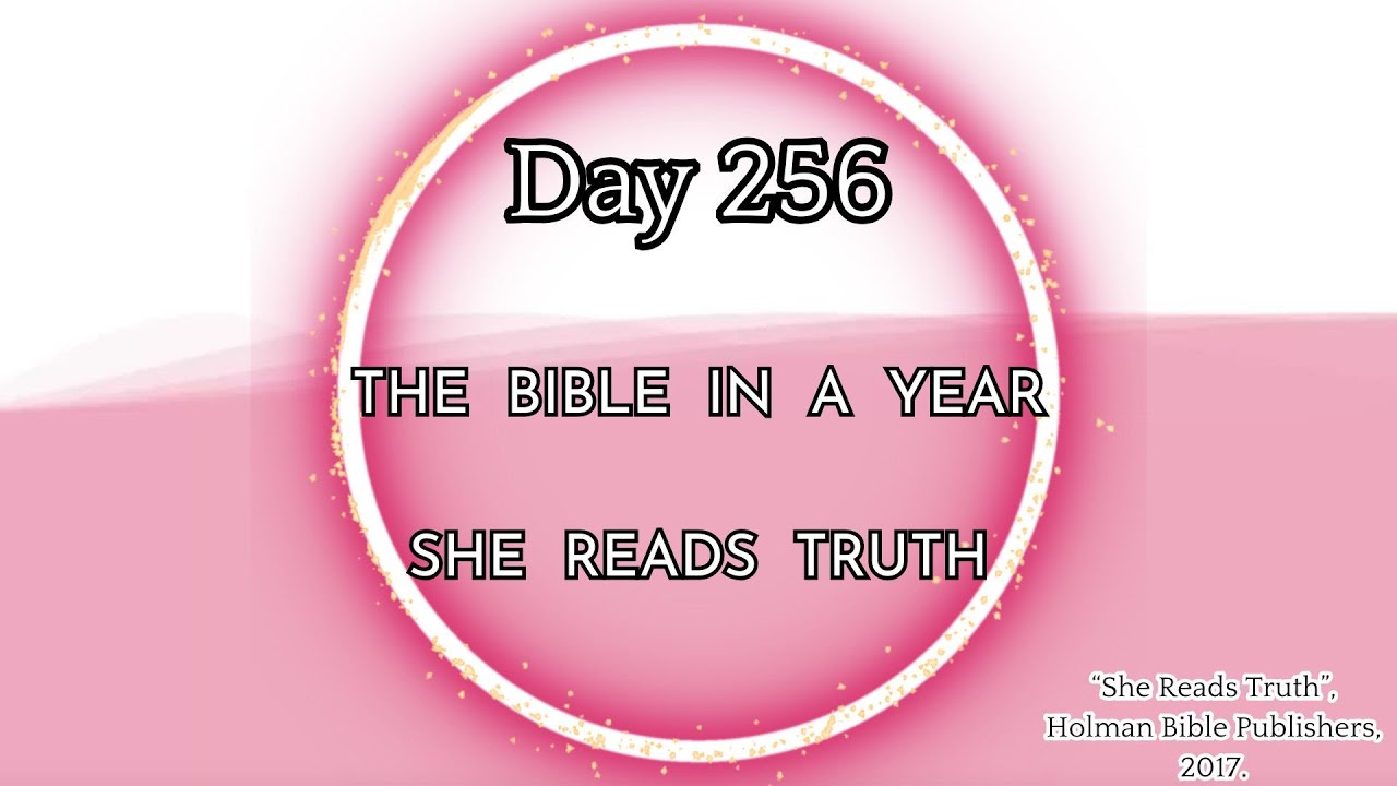 Day 256 - YouTube