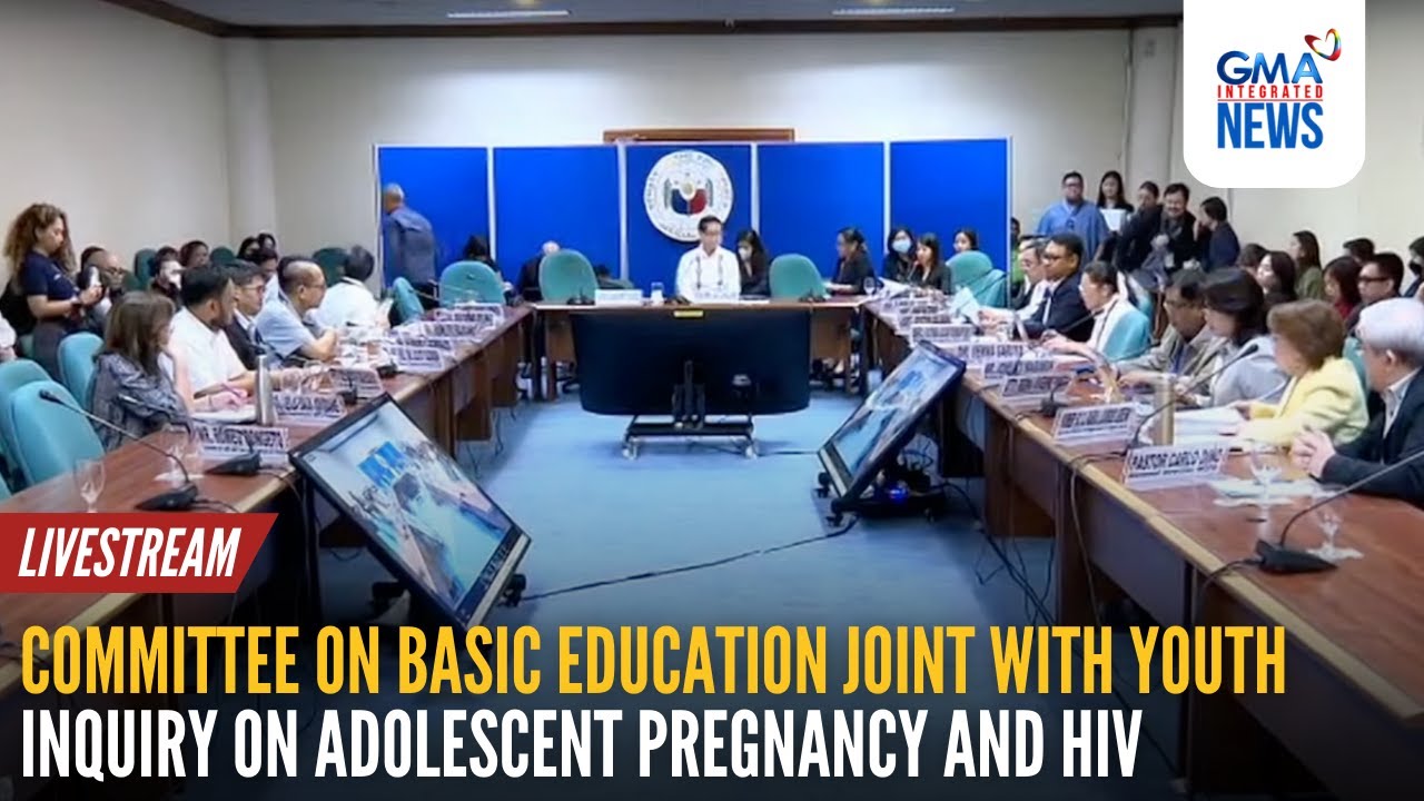 LIVE: Committee on Basic Education joint with Youth inquiry... - Replay ...