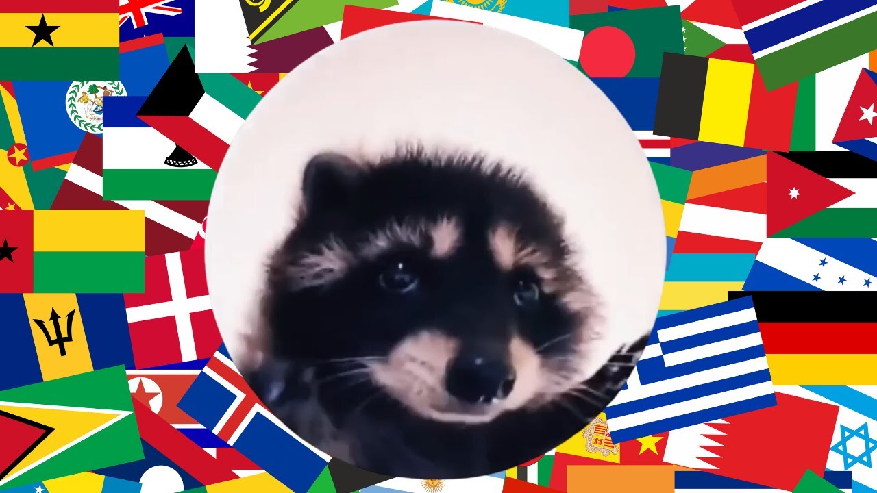 "Pedro Pedro Pedro Pedro Pe" in top 23 different languages meme - YouTube