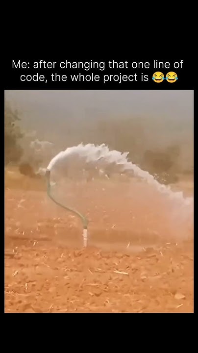 Coder Life 🤣 Codinglife Viralshort Developer Programming Codinglover Bug Coding Funny 6594