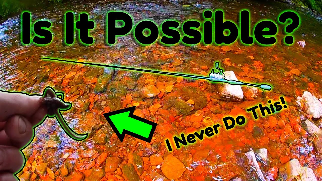 Can We Catch 20lb FISH On 4lb LINE? Creek Fishing - YouTube