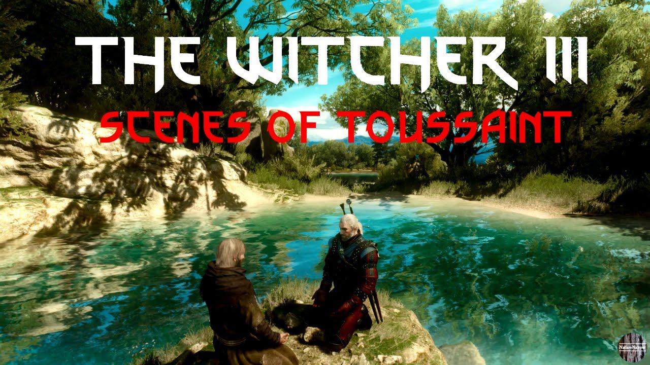 Witcher 3 Relaxing Ambience Music Mix | Scenes of Toussaint | Two Hours ...