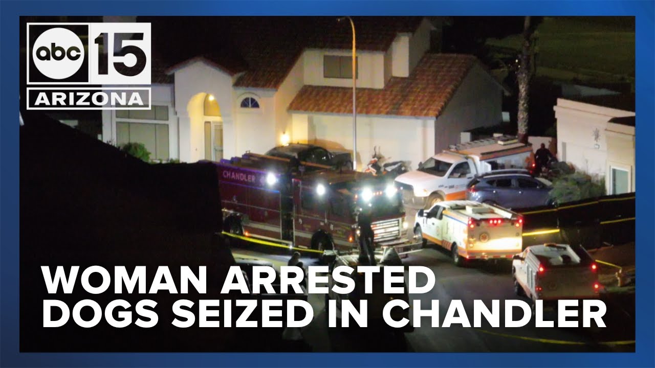 Estimated 55 dogs removed from Chandler home, woman arrested amid ...