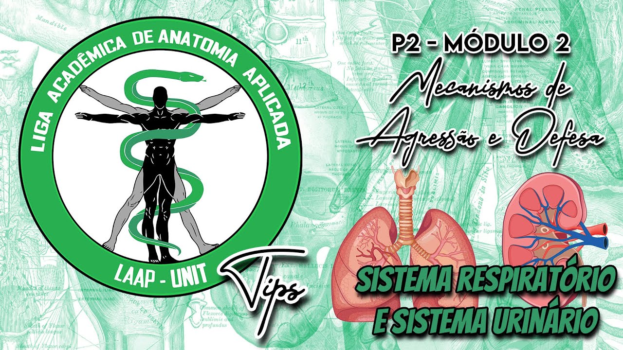 Mecanismos De Agressao E Defesa - FDPLEARN