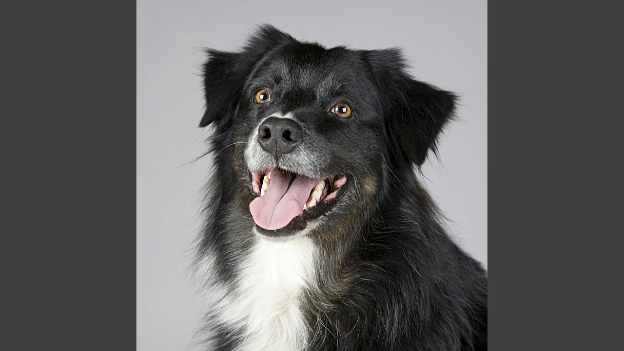 Lost in Melody - YouTube