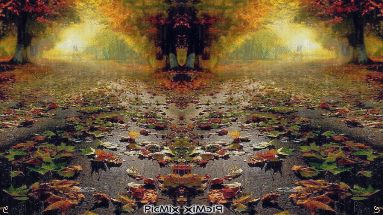 04 Numbers 021 - YouTube