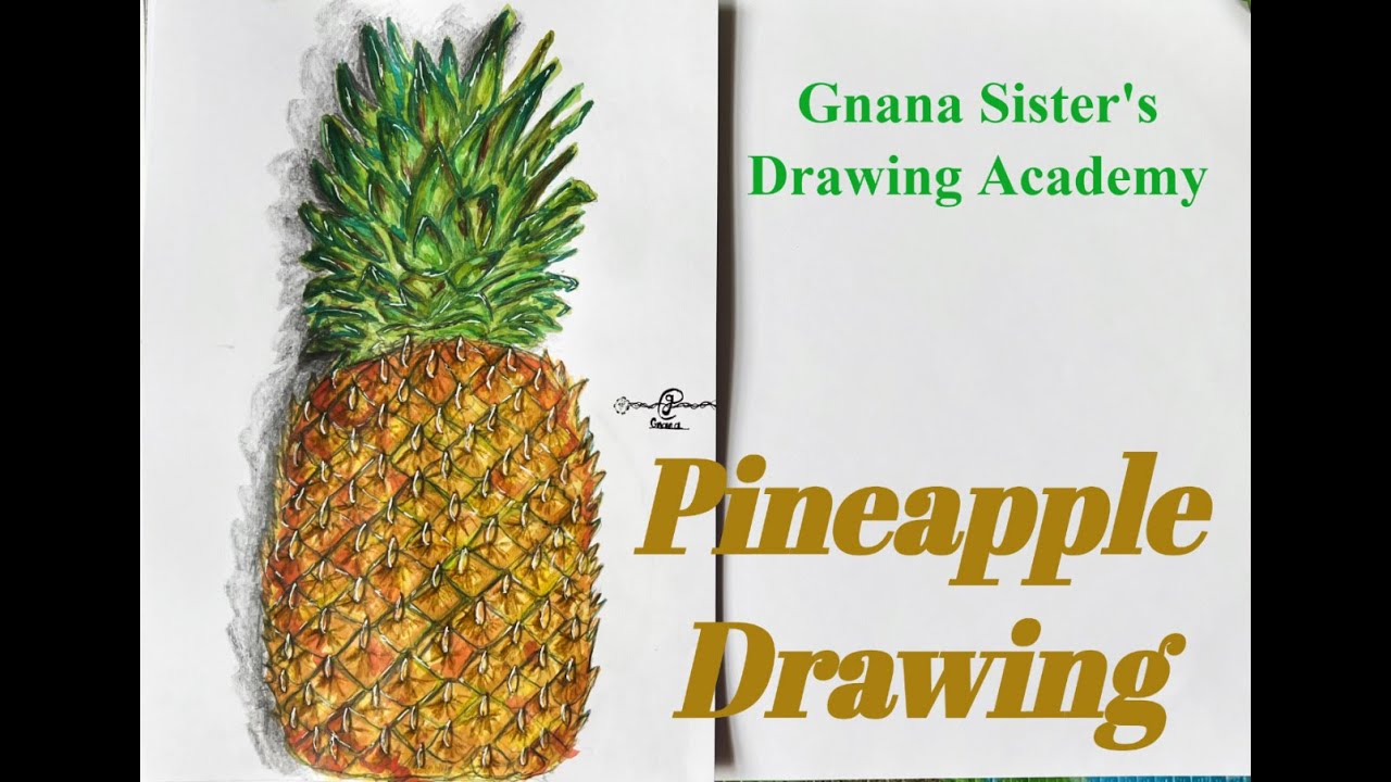 Pineapple Drawing/drawing of Pineapple/Pineapple color drawing/how to ...