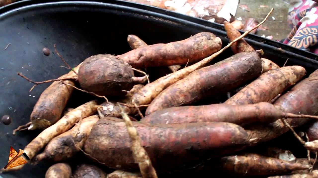 Cook Islands - O R O MĀNIOTA - YouTube