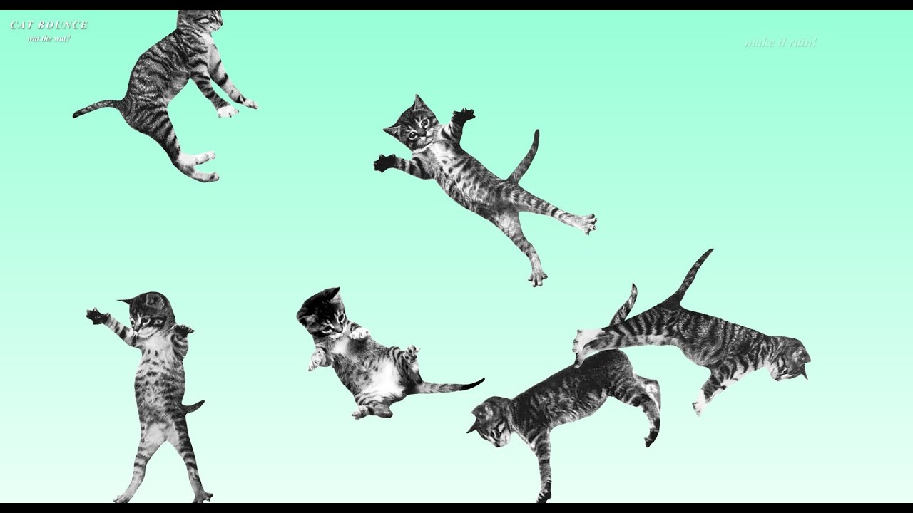 The Cat Bounce (July 15th 2013) - YouTube