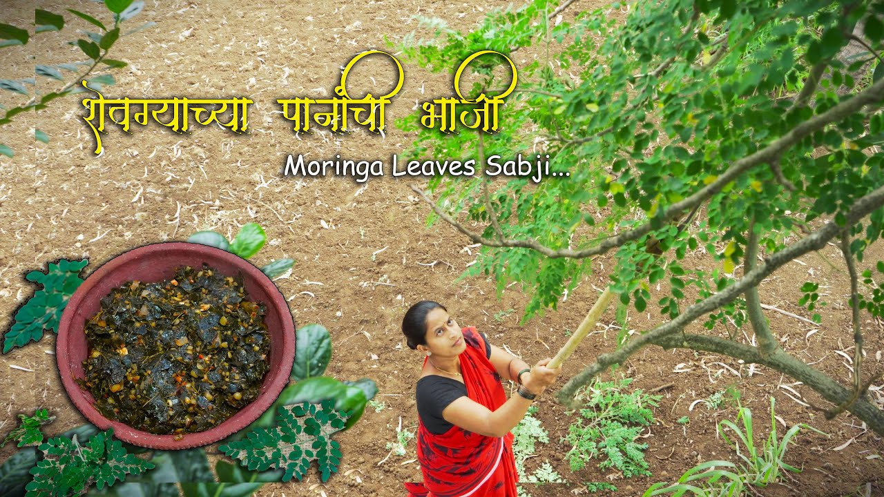 शेवग्याच्या पानांची भाजी | Moringa Leaves Sabji | Traditional Recipe ...