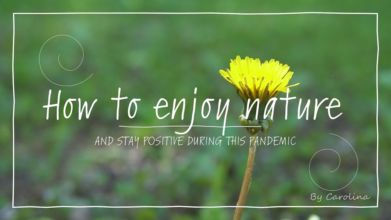 How to Enjoy Nature - YouTube