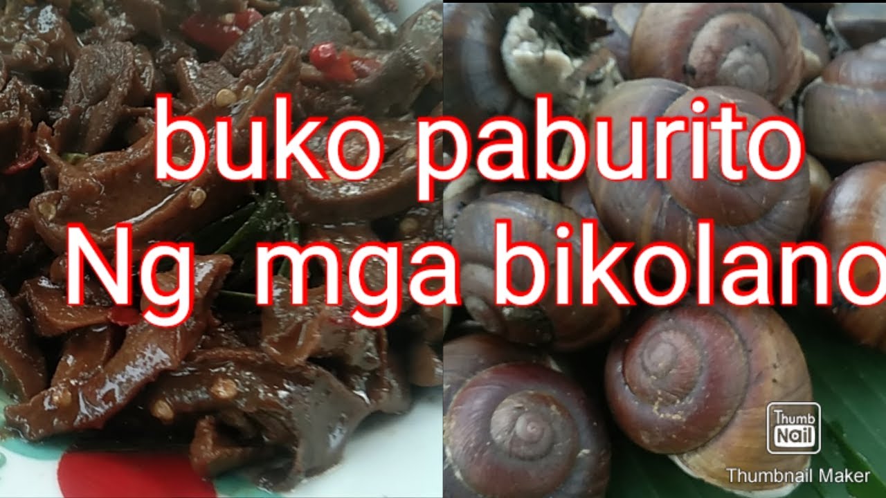 adobo sa gata /buko.pabureto pampulotan Ng mga bikolano. - YouTube