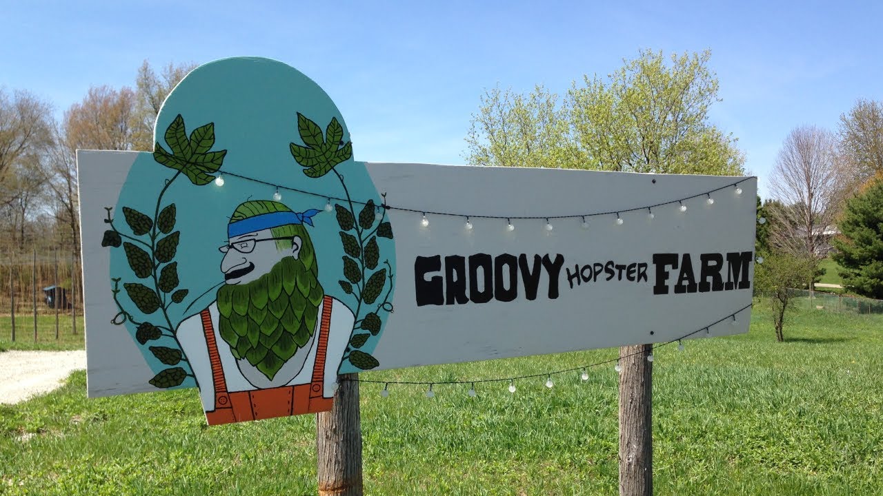 Groovy Hopster Farm - YouTube