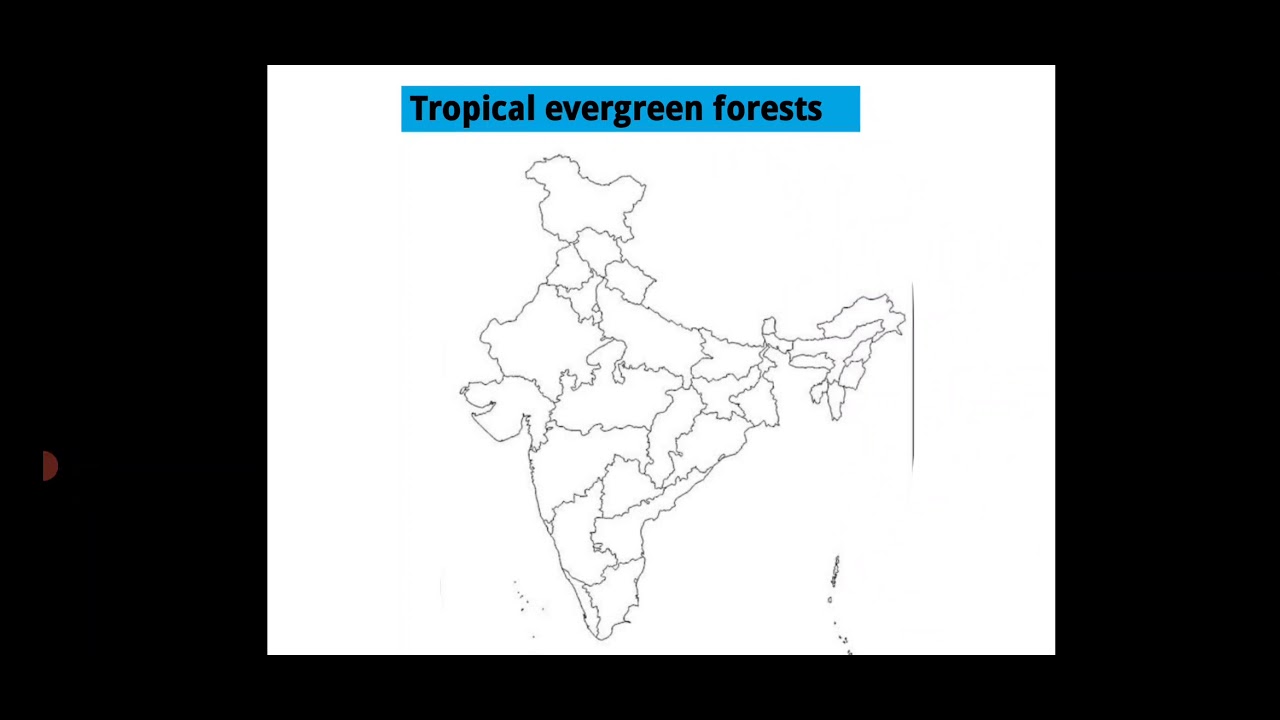 Tropical evergreen forests in India map😄😄 - YouTube