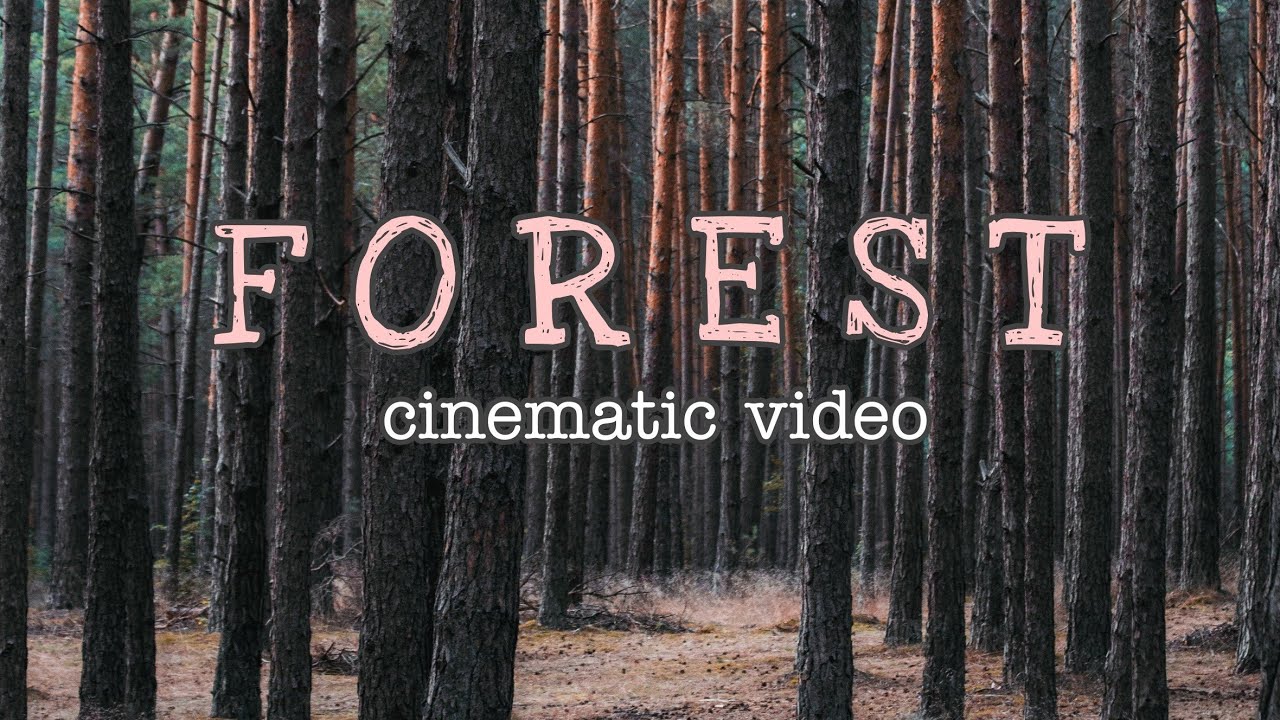 FOREST CINEMATIC VIDEO I CINEMATIC VIDEO #2 - YouTube