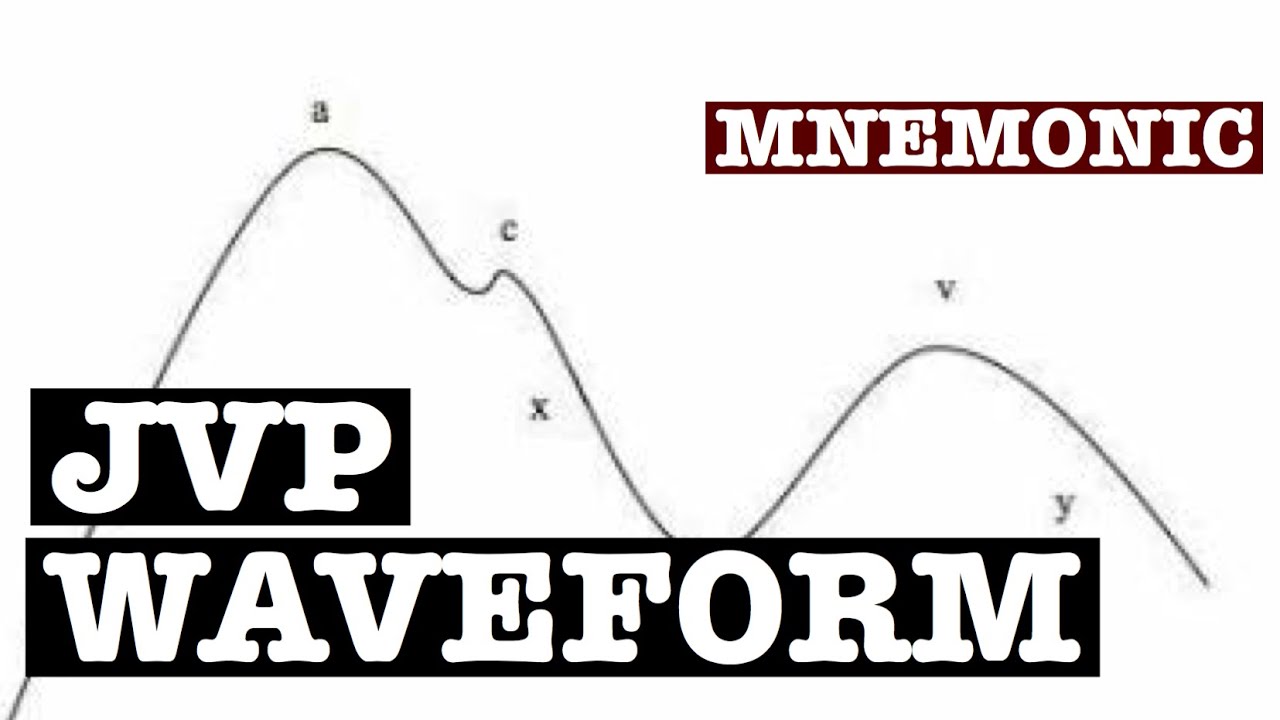 EASY WAY TO REMEMBER JVP WAVEFORMS || JUGULAR VENOUS PULSE MNEMONIC ...