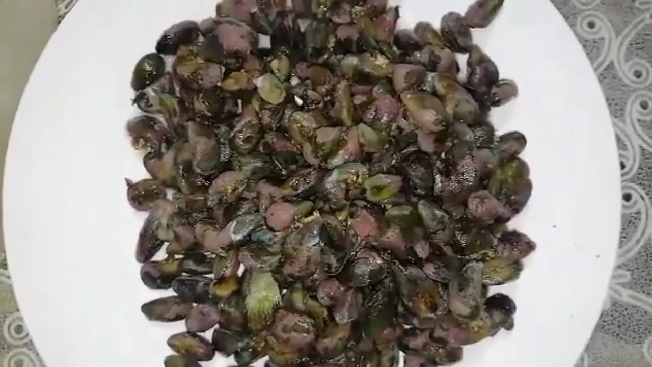 Ginisang Amahong | Sautéed Seashell Halaan Libran food and travel - YouTube