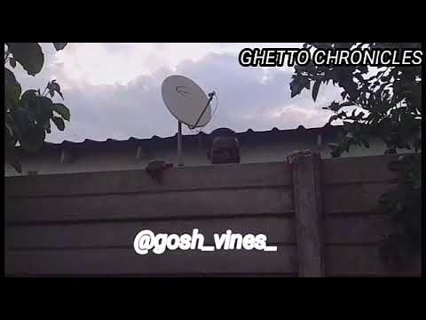 Gosh vines zimcomedy mhavha ghetto chronicles - YouTube