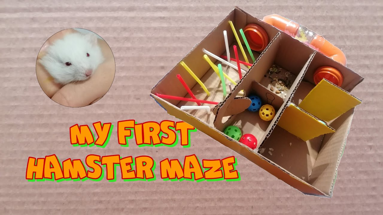 My first #hamster maze - YouTube