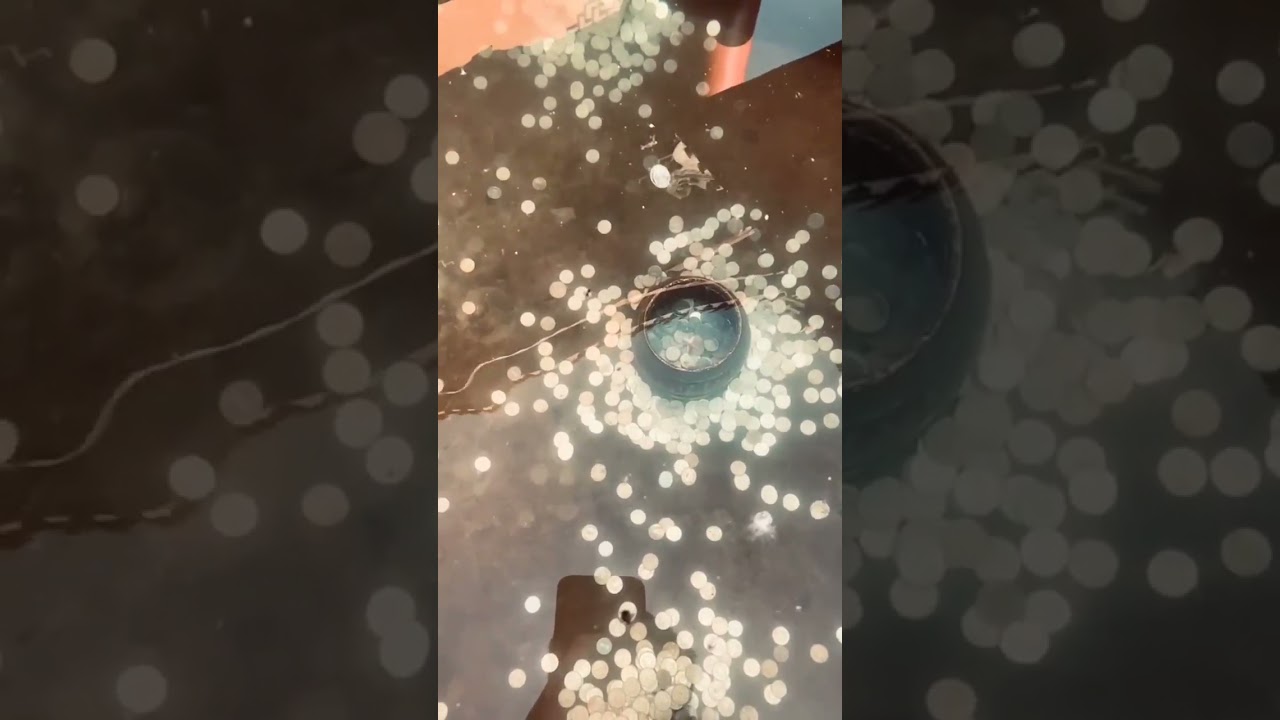 Coin Drop Water Game - YouTube
