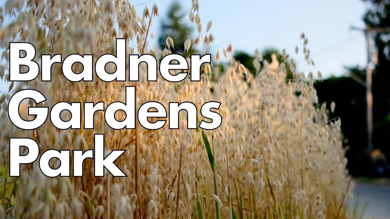 4K Garden Tour: Bradner Gardens Park in Seattle, WA - YouTube
