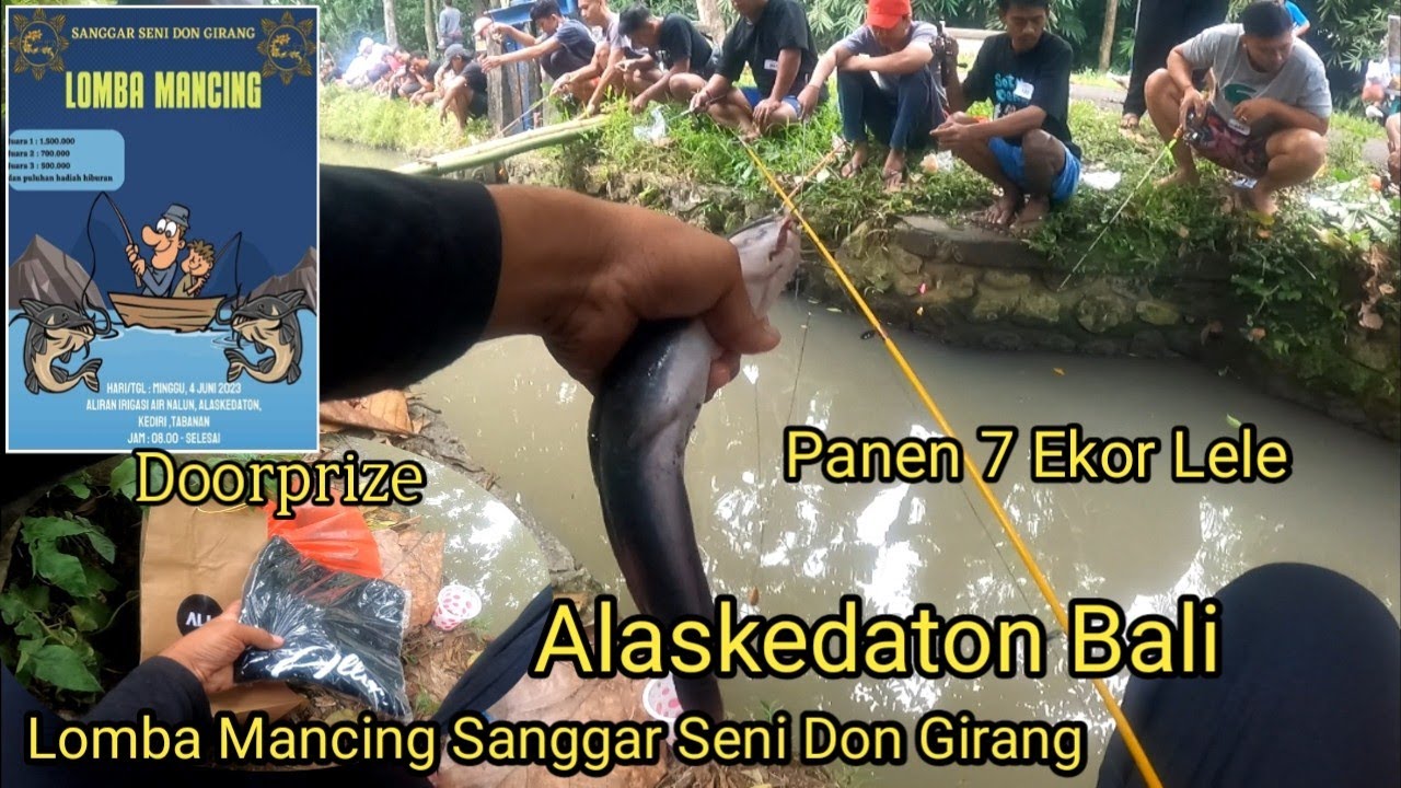 Lomba Mancing Air Deras Sanggar Don Girang di Alaskedaton Tabanan - YouTube