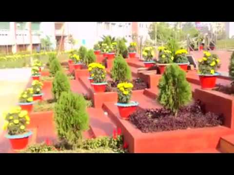 Documentary on Comilla Victoria Govt College - YouTube