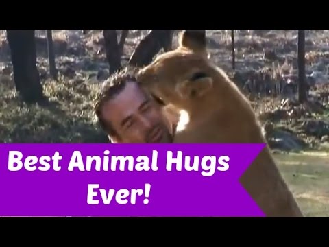 The Best Animal Hugs Ever! : Animal Hugs To Create a Smile - YouTube