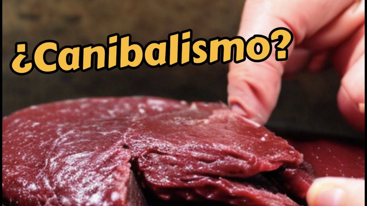 "¿Canibalismo Moderno? La Verdad Detrás de Comer la Placenta - YouTube